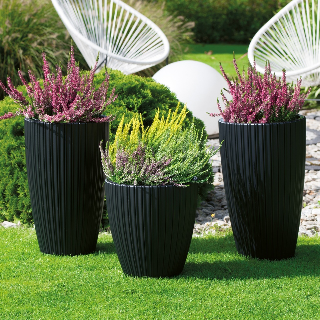 Fancy Pot – decorative pot with sculpted lines